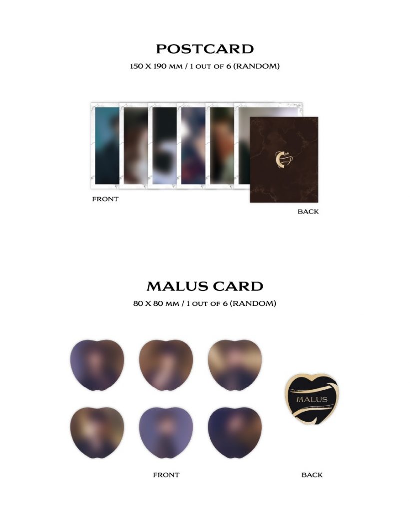 ONEUS Mini Album Vol. 8 - MALUS (Main version) - KR Multimedia